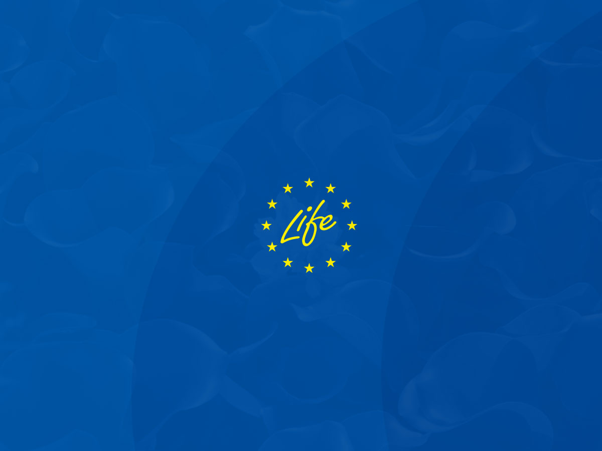 The LIFE Programme and its objectives - Greenchange
